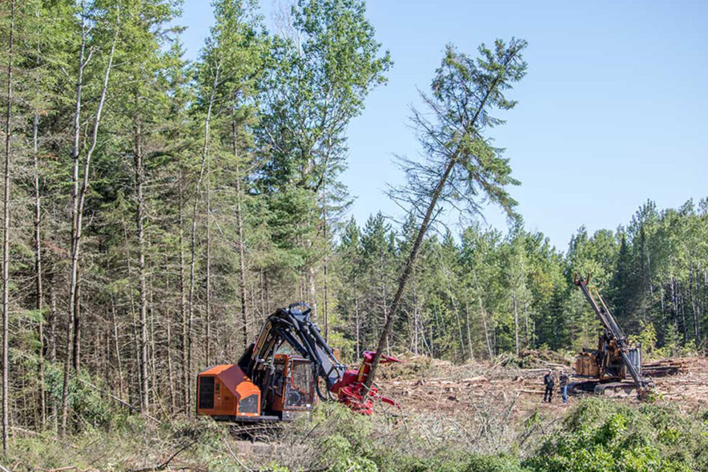 Barko 260B-F feller-buncher - Équipements Marquis